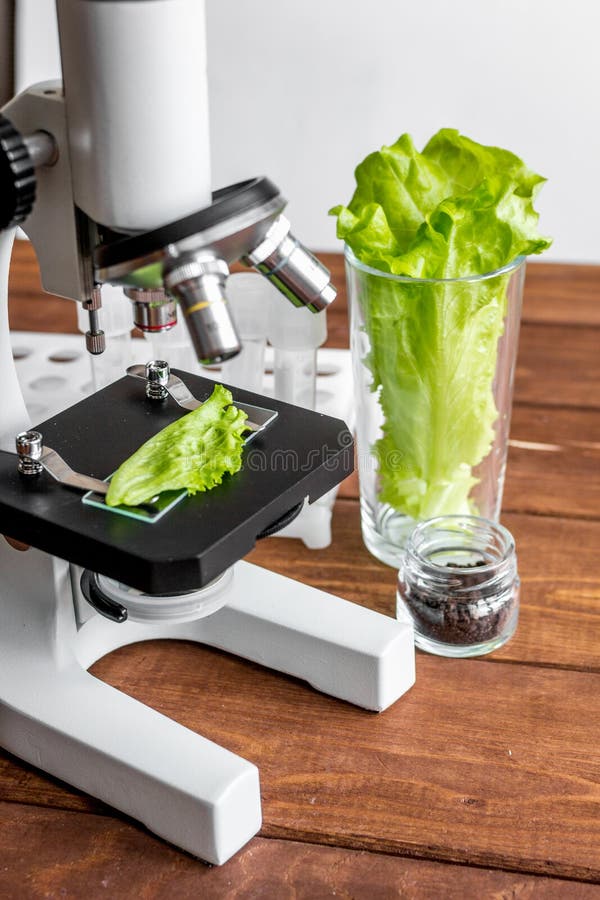 Concept - Check Dietary Supplements in Laboratory on Microscope Stock ...