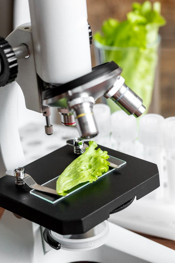 Concept - Check Dietary Supplements in Laboratory on Microscope Stock ...