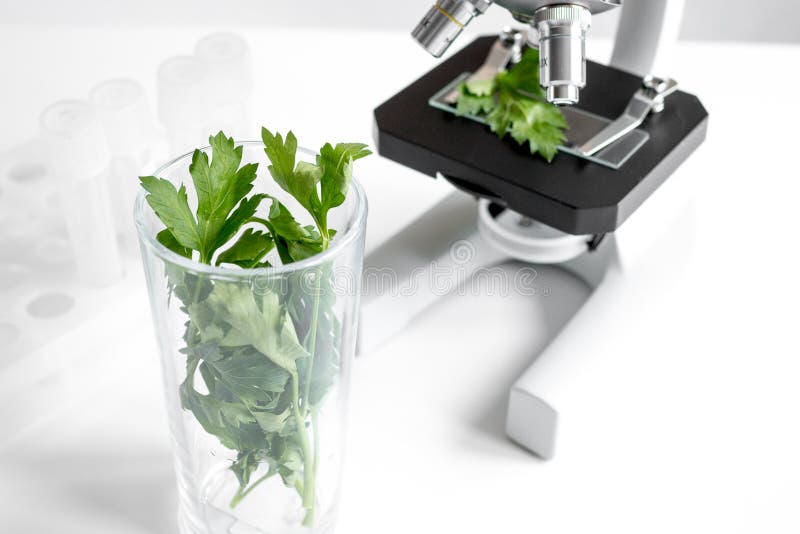 Concept - Check Dietary Supplements in Laboratory on Microscope Stock ...