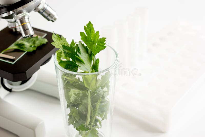 Concept - Check Dietary Supplements in Laboratory on Microscope Stock ...