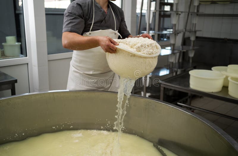 Concept of Cheese Production Process. Draining the Whey through Sieve ... Concept of Cheese Production Process. Draining the Whey through Sieve ...