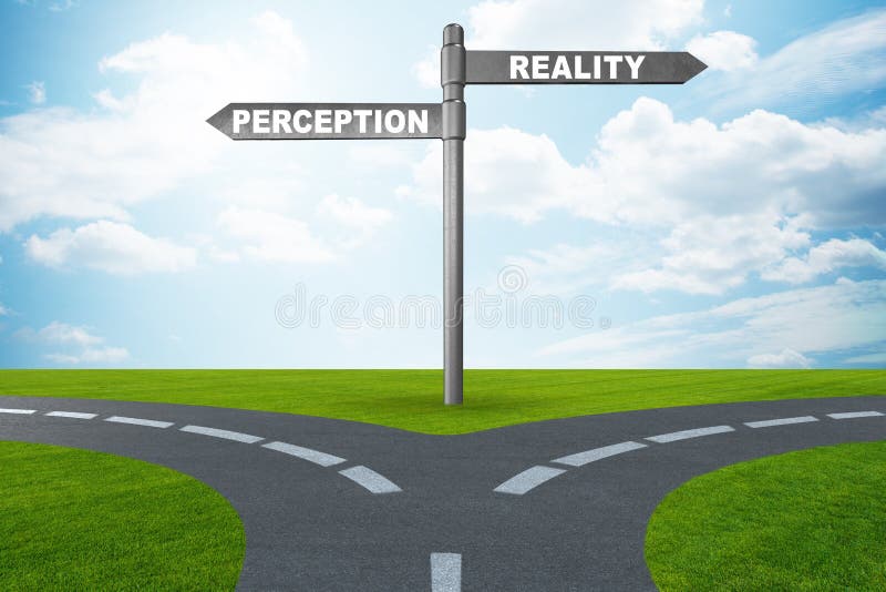 Perception Vs Reality Stock Illustrations – 96 Perception Vs Reality ...
