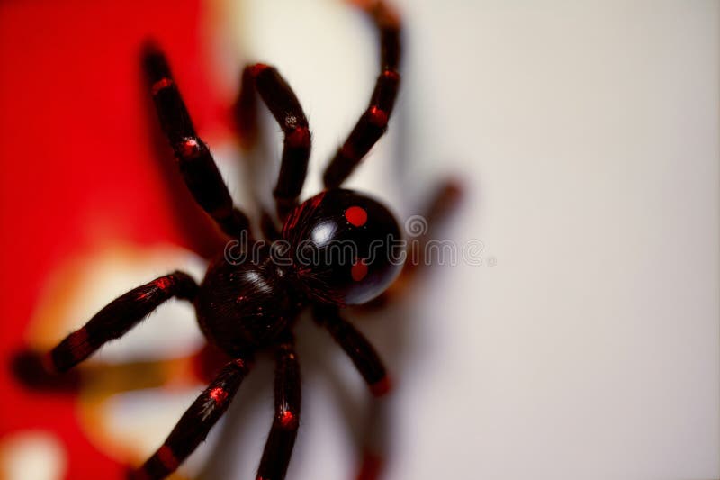 A Close Up of a Red Spider on a White Surface. Generative AI Stock ...
