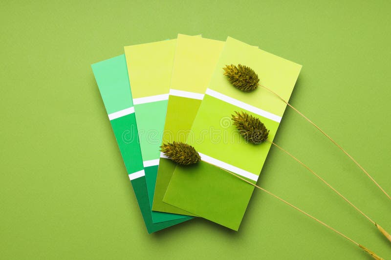 Concept of Colors for Design, Color Palettes, Top View Stock Photo ...