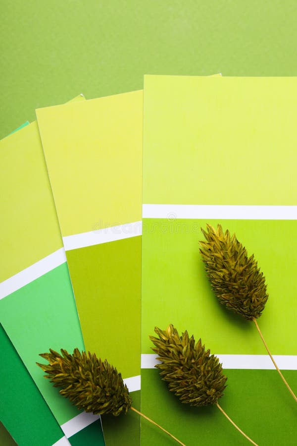 Concept of Colors for Design, Color Palettes, Top View Stock Image ...