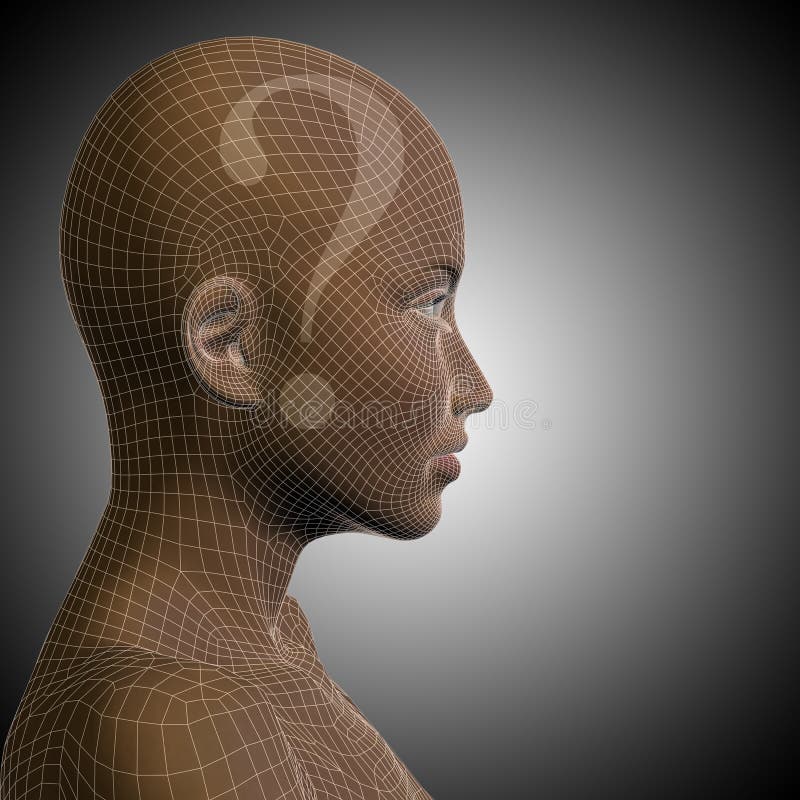 3D Illustration Wireframe Human Female Question Ask Head Stock ...