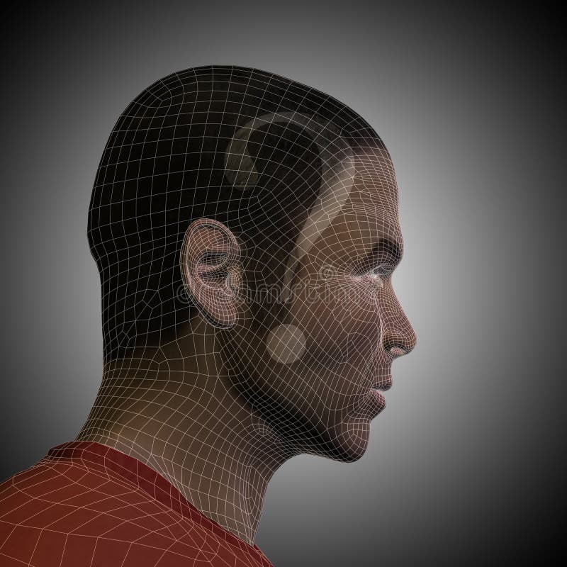 3D Illustration Wireframe Human Male Man Question Ask Head Stock ...