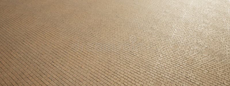 Beige Background Photos Layout Design Stock Illustrations – 25,232 ...