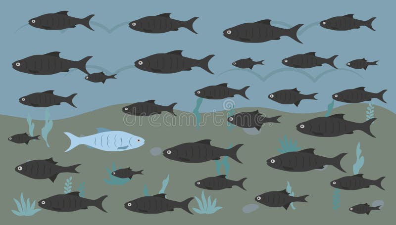 Concept of Courage, Confidence, Success, Crowd and Creativity. Opposite ...