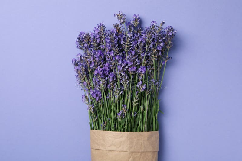 Concept of Cozy with Flowers, Beautiful Lavender Flowers Stock Image ...