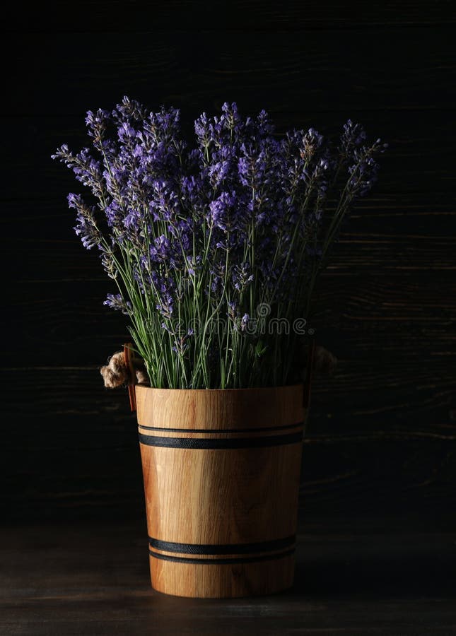 Concept of Cozy with Flowers, Beautiful Lavender Flowers Stock Photo ...