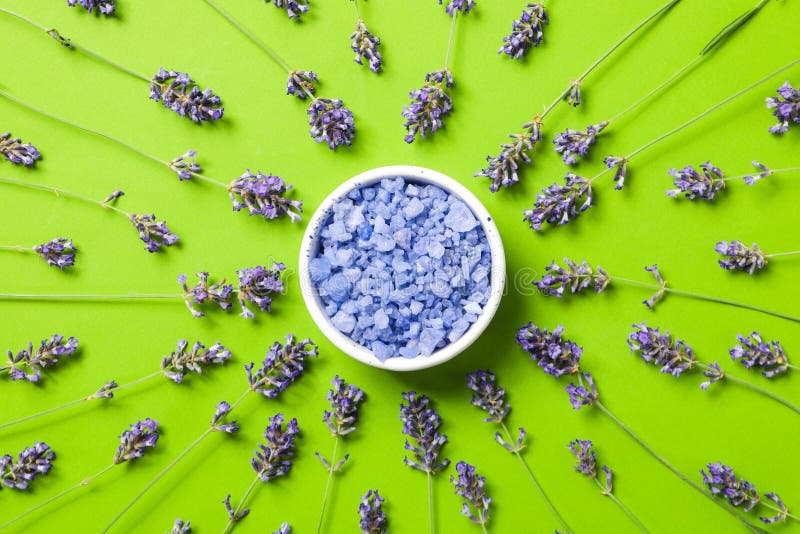 Concept of Cozy with Flowers, Beautiful Lavender Flowers Stock Image ...