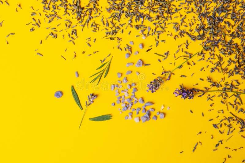 Concept of Cozy with Flowers, Beautiful Lavender Flowers Stock Photo ...