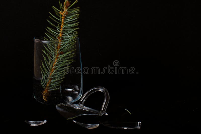 Concept Created with Shattered Glass Cup and Plants that Fell through ...