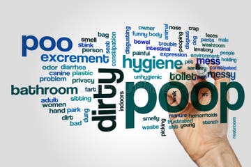 388 Photos de Caca Humain - Photos de stock gratuites et libres de ...