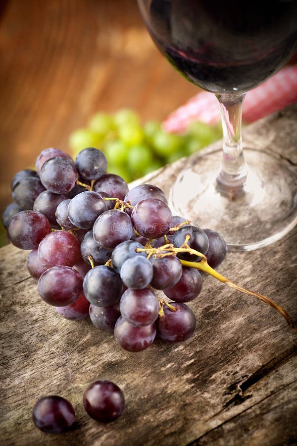 Concept de vin image stock. Image du boisson, bouteille - 27093831