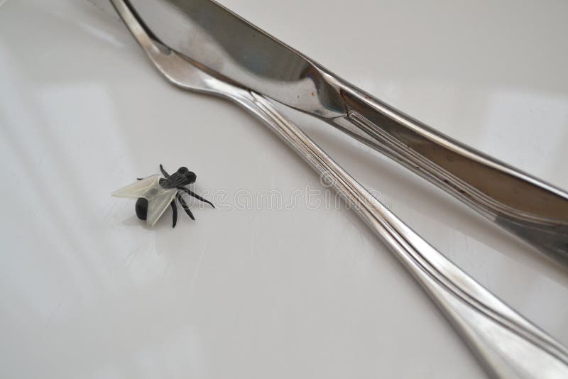 Concept of Diet or Worms: Closeup of Fly on Plate Stock Photo - Image ...