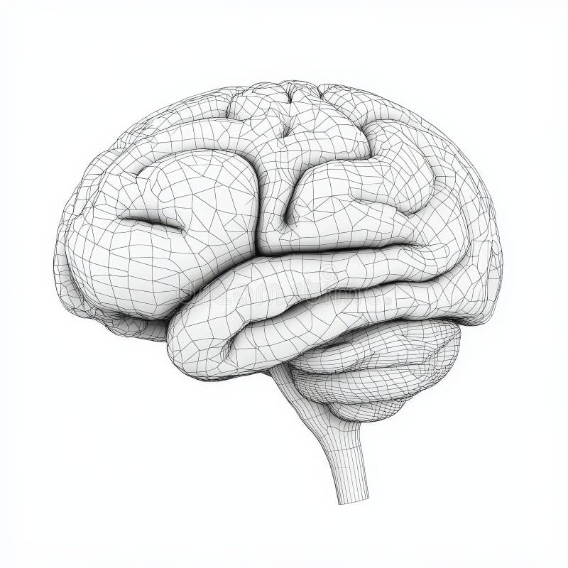 The Concept of a Digital Brain is Illustrated through a Wireframe Model ...