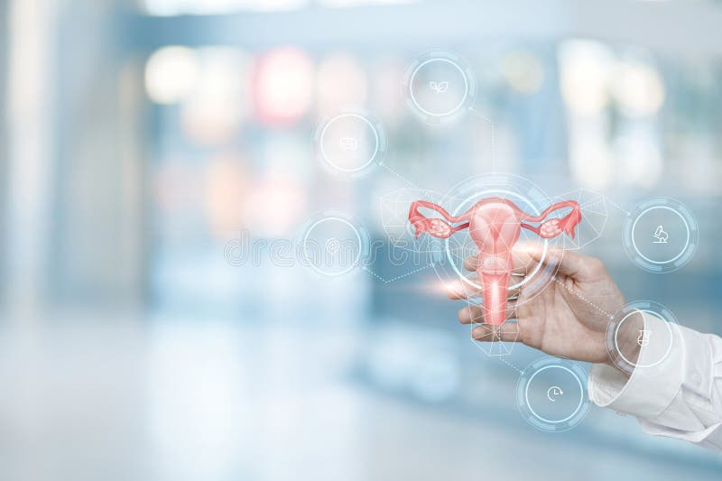 The Concept of Digital Control of the Reproductive System Stock Photo ...