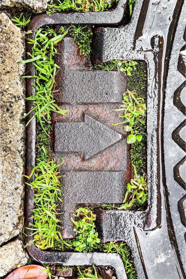 Concept of Direction and Movement, and Path To Development and Progress ...