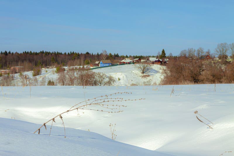 The Concept of Early Spring. the First Spring Days Near the Village ...