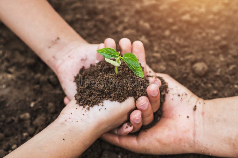Concept Eco Hand Helping Holding Protection Stock Photo - Image of ...