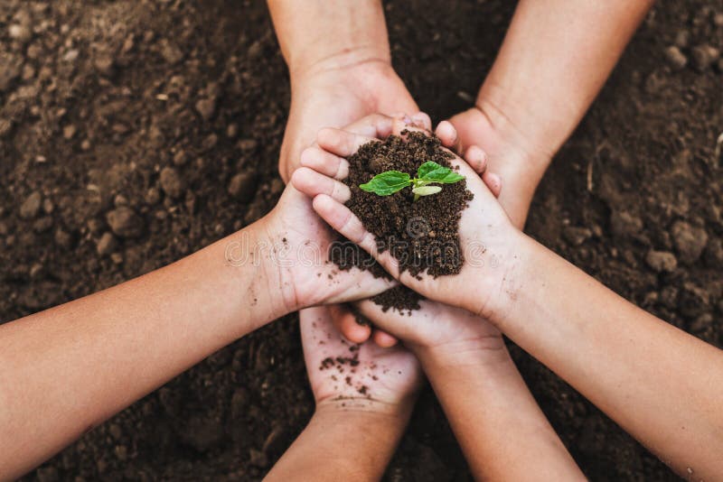 People Helping Planting Tree in Nature for Save Earth. Environment Eco ...