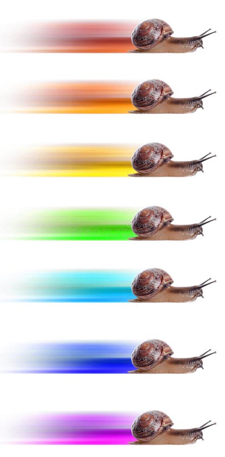 Concept. Fast Snail with Colored Silhouette Stock Image - Image of ...