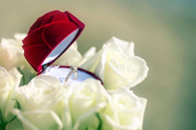 Whites & Red flower stock photo. Image of white, bloom - 112896866