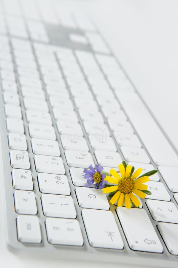 Concept of Flowers Growing from Computer Stock Image - Image of keypad ...