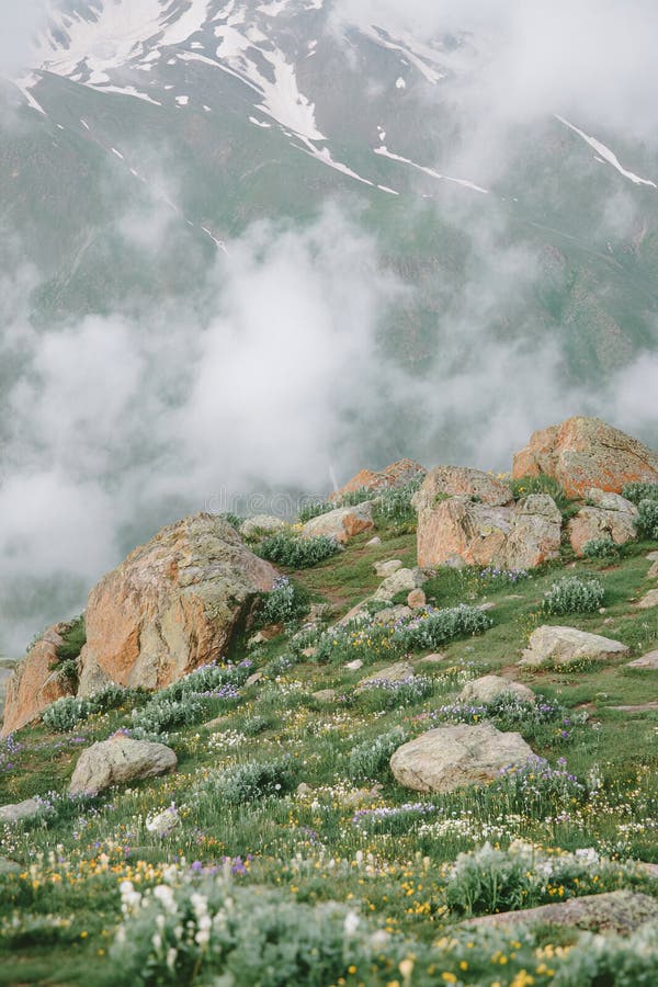 The Concept of Freedom and Adventure is Epitomized in the Beautiful ...