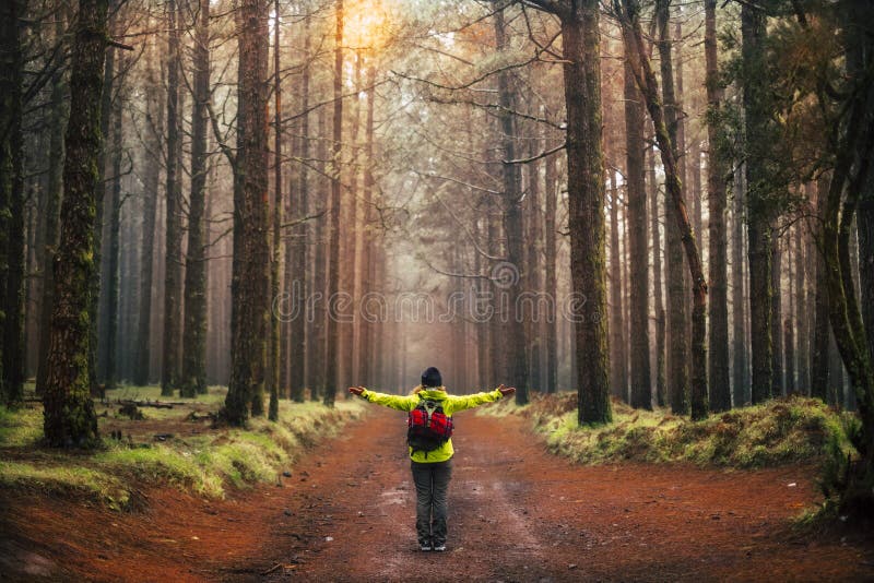 786 Earth No Trees Stock Photos - Free & Royalty-Free Stock Photos from ...