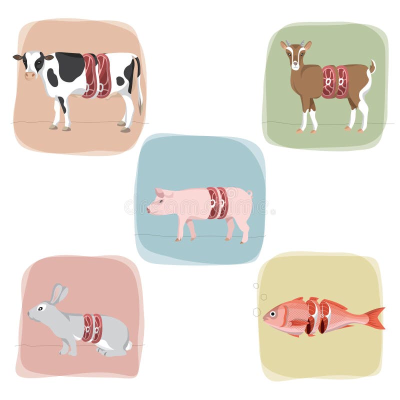 Concept of Fresh Meat Cut. Vector Illustration Decorative Design Stock ...