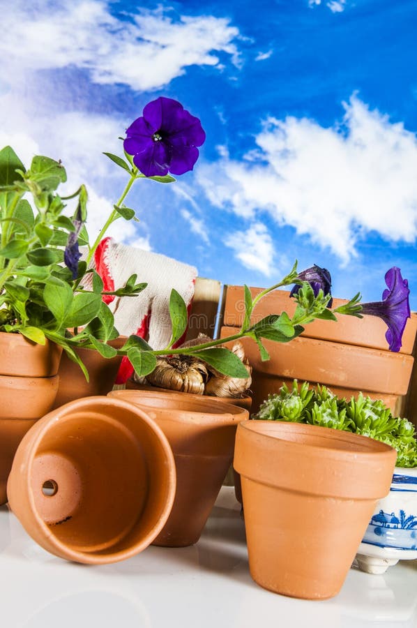 Concept of Gardening, Nature Theme Stock Photo - Image of gardening ...