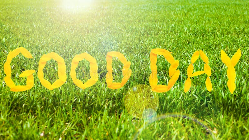 Concept: Good Day Yellow Lettering on Green Grass Background Stock ...
