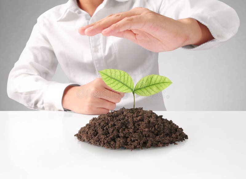 Concept of Growing from Plant in Hand Stock Image - Image of success ...