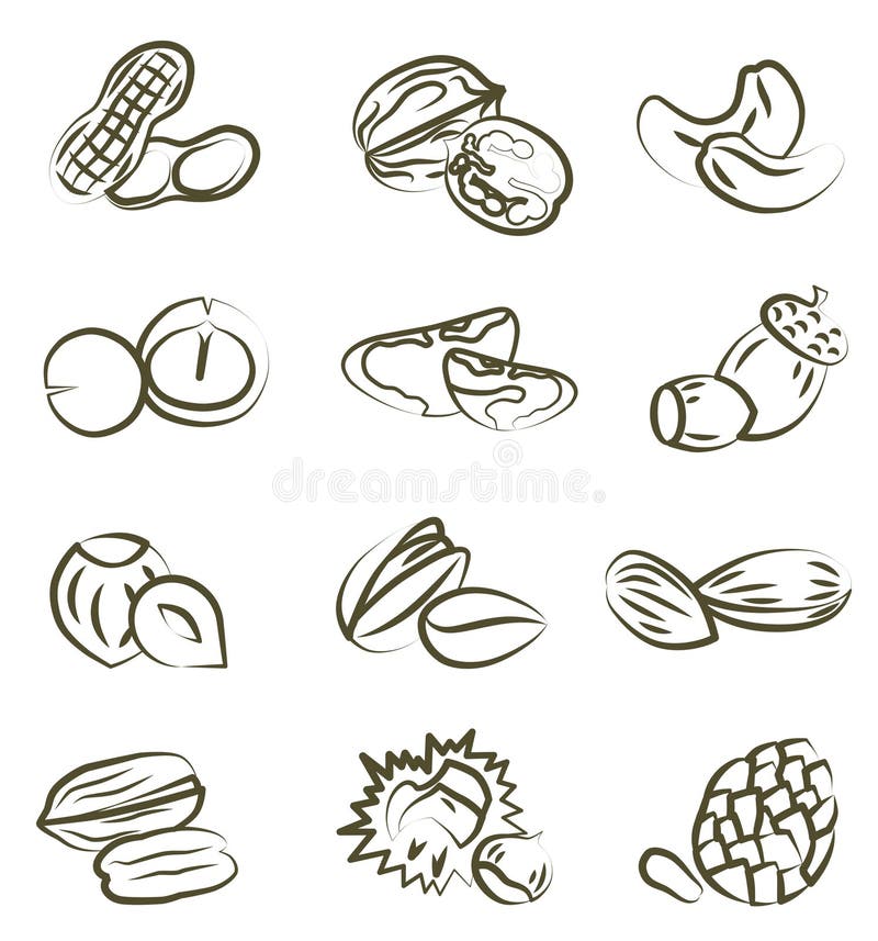Concept of Healthy Eating. Collection of Different Nuts Vector Flat ...