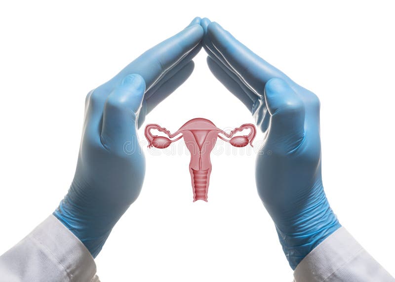 Concept of a Healthy Female Reproductive System Stock Photo - Image of ...