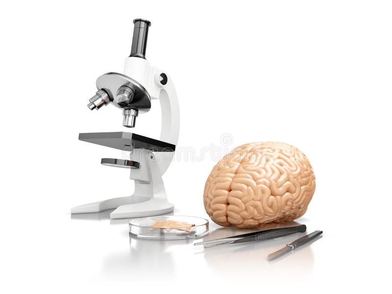 Brain research process. stock photo. Image of instruments - 188972968