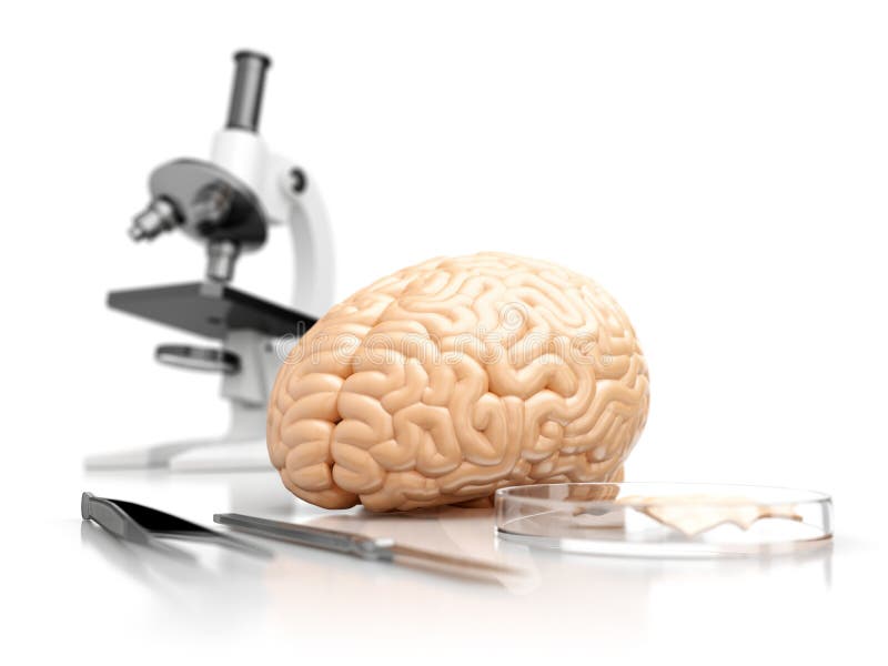 Brain research process. stock photo. Image of instruments - 188972968