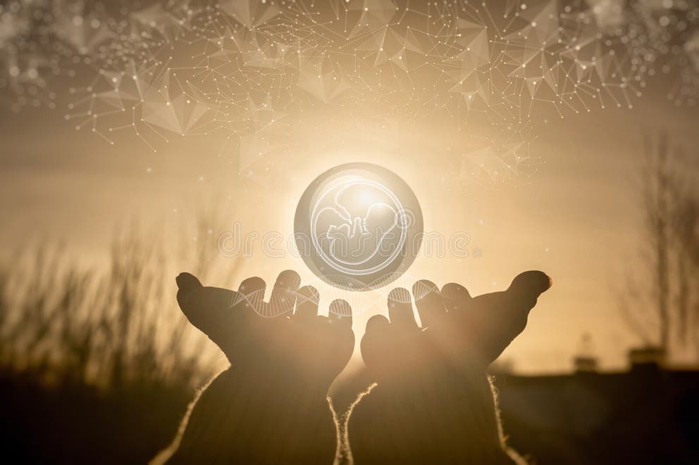 Concept of Human Embryo Support Stock Image - Image of shape ...