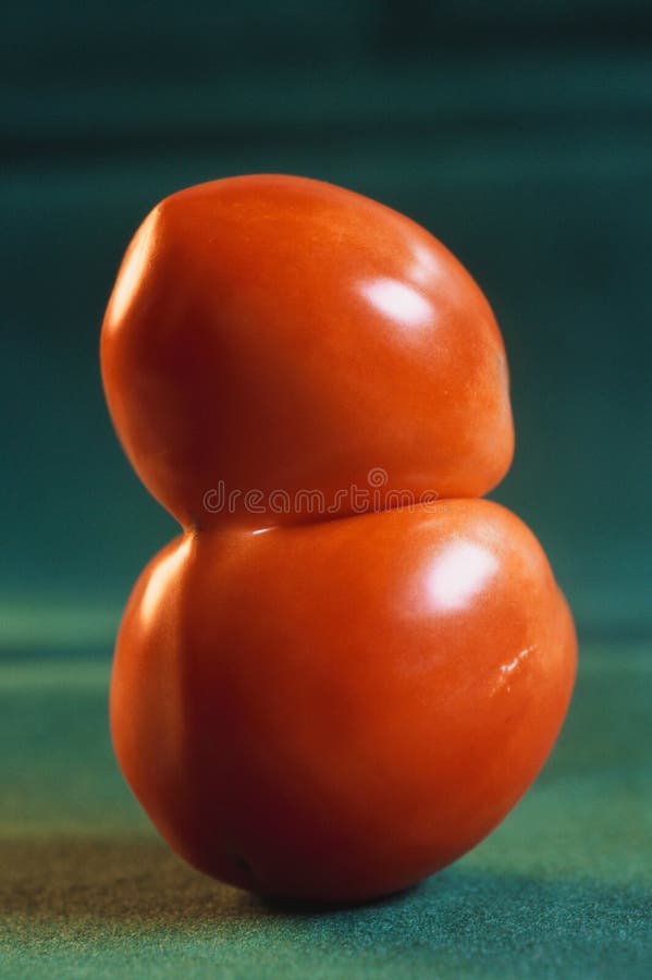 Concept, Human Figure Vegetable Tomatoes on Green Background Stock ...