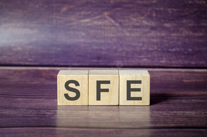 Concept Image of Accounting Business Acronym SFE Sales Force ...