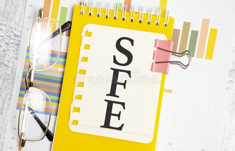 Concept Image of Accounting Business Acronym SFE Sales Force ...