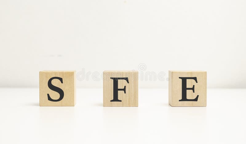 Concept Image of Accounting Business Acronym SFE Sales Force ...