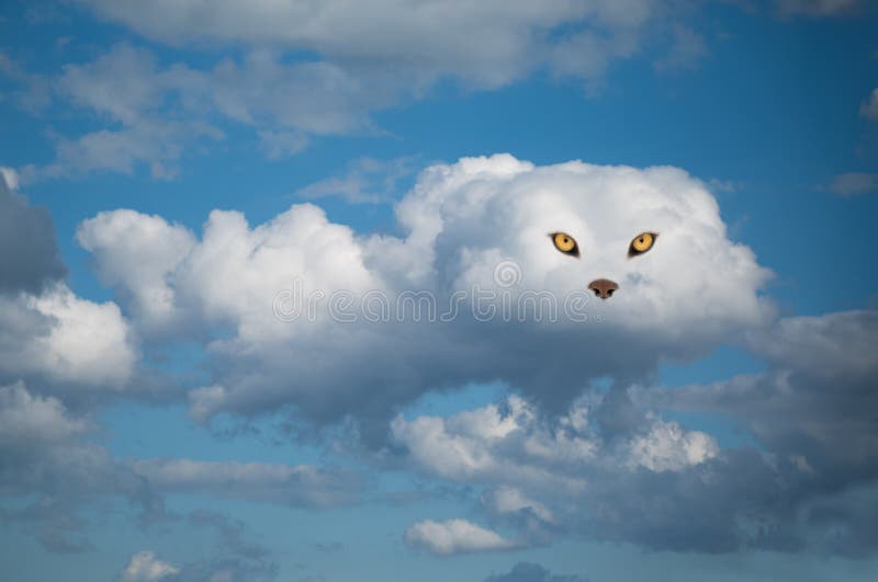 Concept Image of an Animal on Blue Sky Cloud Stock Photo - Image of ...