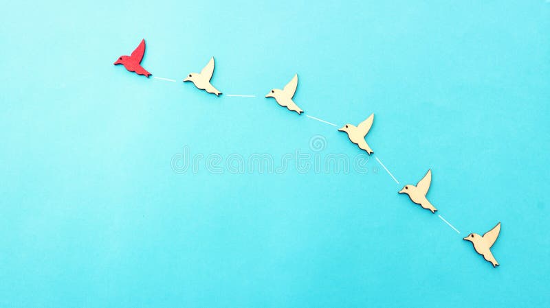Concept Image of Birds Following the Leader. Idea of Teamwork and ...