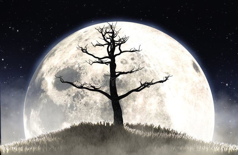 Dead Tree and Moon Silhouette Stock Illustration - Illustration of ...
