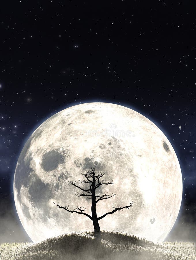 Dead Tree and Moon Silhouette Stock Illustration - Illustration of ...