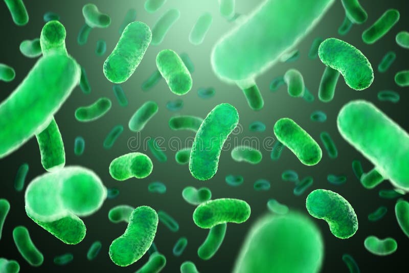 Concept Infectious Agents, Bacteria, Bacilli, E. Coli, Part of the Gut ...